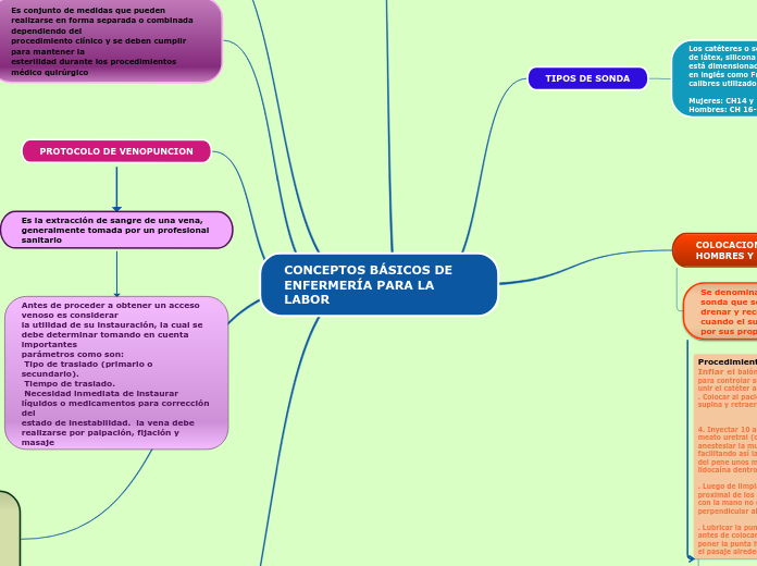 Conceptos BÁsicos De EnfermerÍa Para La La Mind Map
